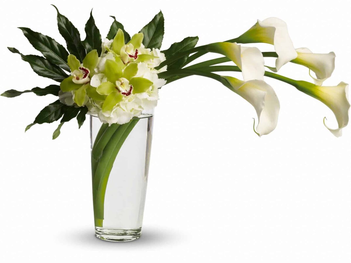 Moondance | La Tulipe floral designs