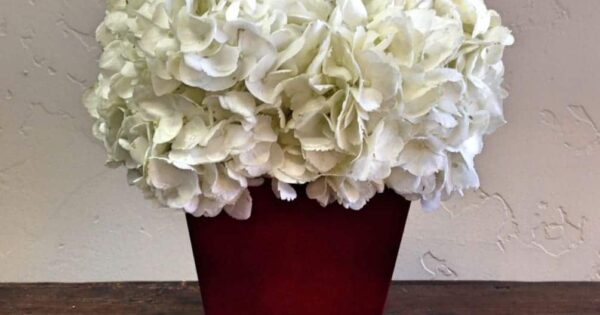 Snowbed | La Tulipe floral designs
