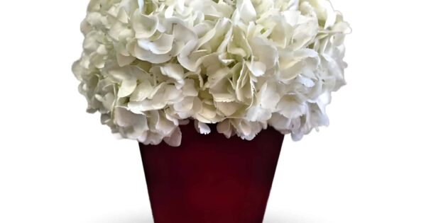 Snowbed | La Tulipe floral designs