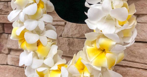 Hawaiian Lei Flowers | La Tulipe Floral designs